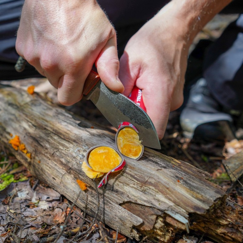 Procamptek - Fast Fire Stick Fire Starter